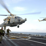 NSW Gallery | Navy SEALs